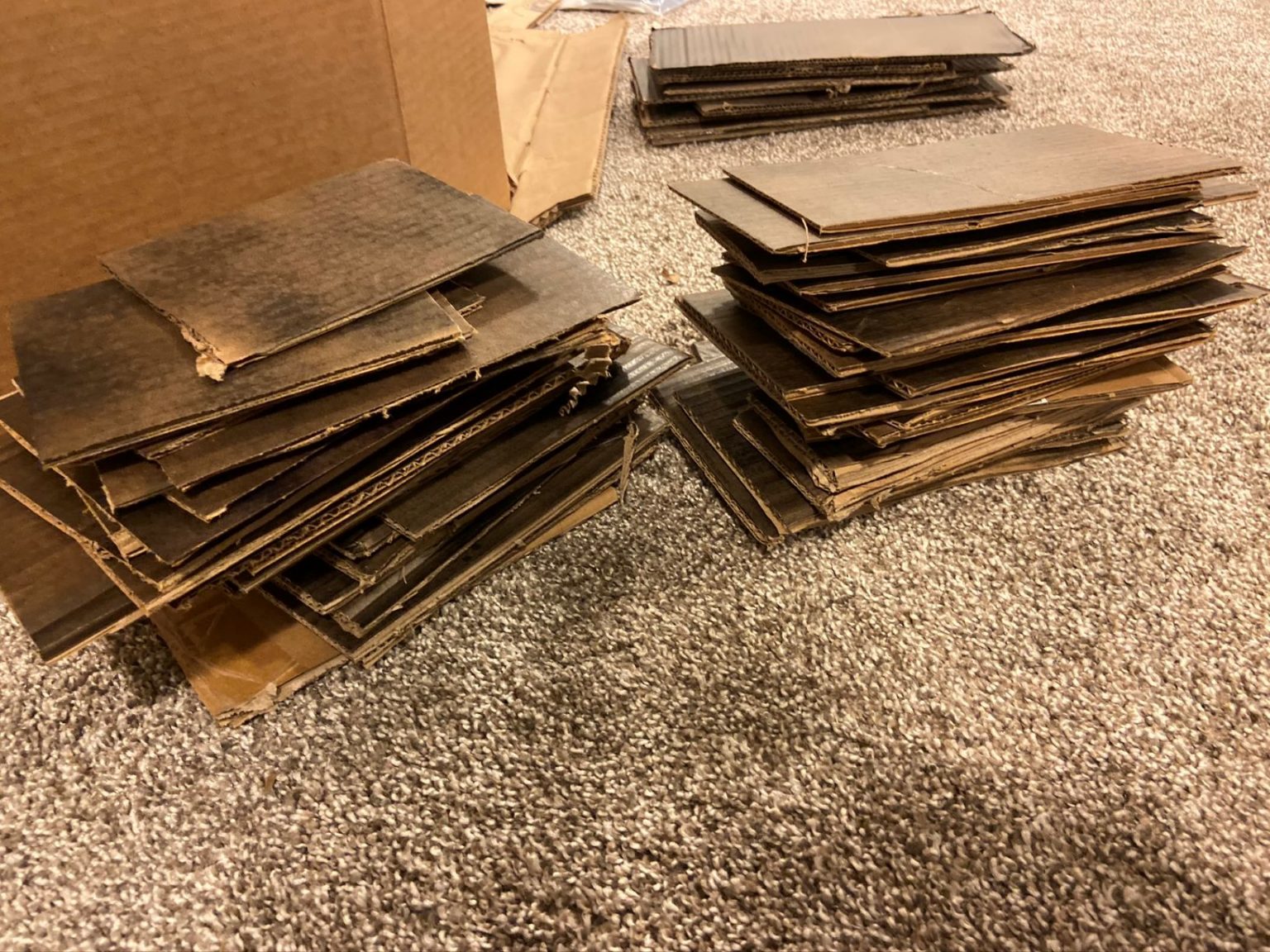 Haunted Cardboard House for your Kids who Love a Little Scare