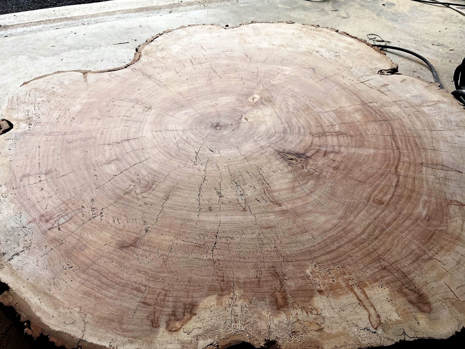 The Easiest Way to Even Out a Wood Slab with Basic Tools